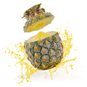 home HOME - Max Food Groups