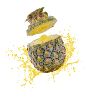 home HOME - Max Food Groups